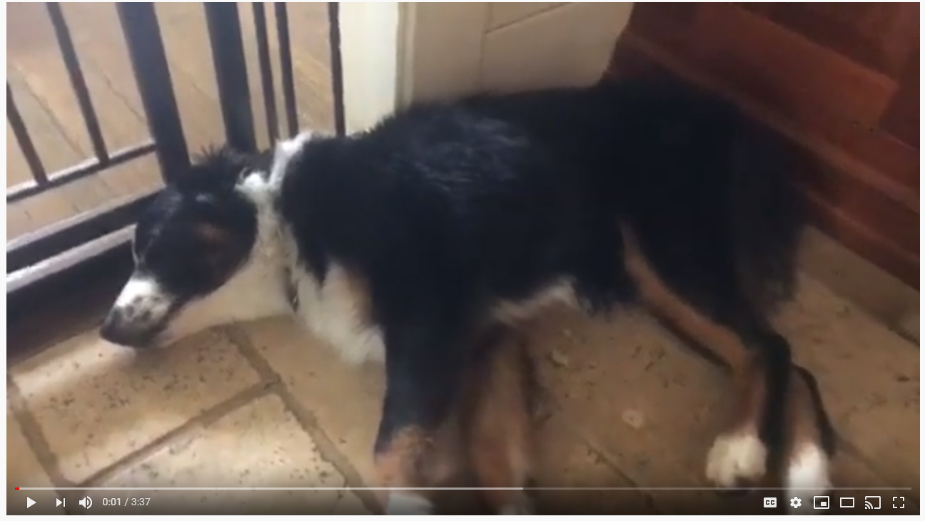 Get Up And Go Got Up And Went!