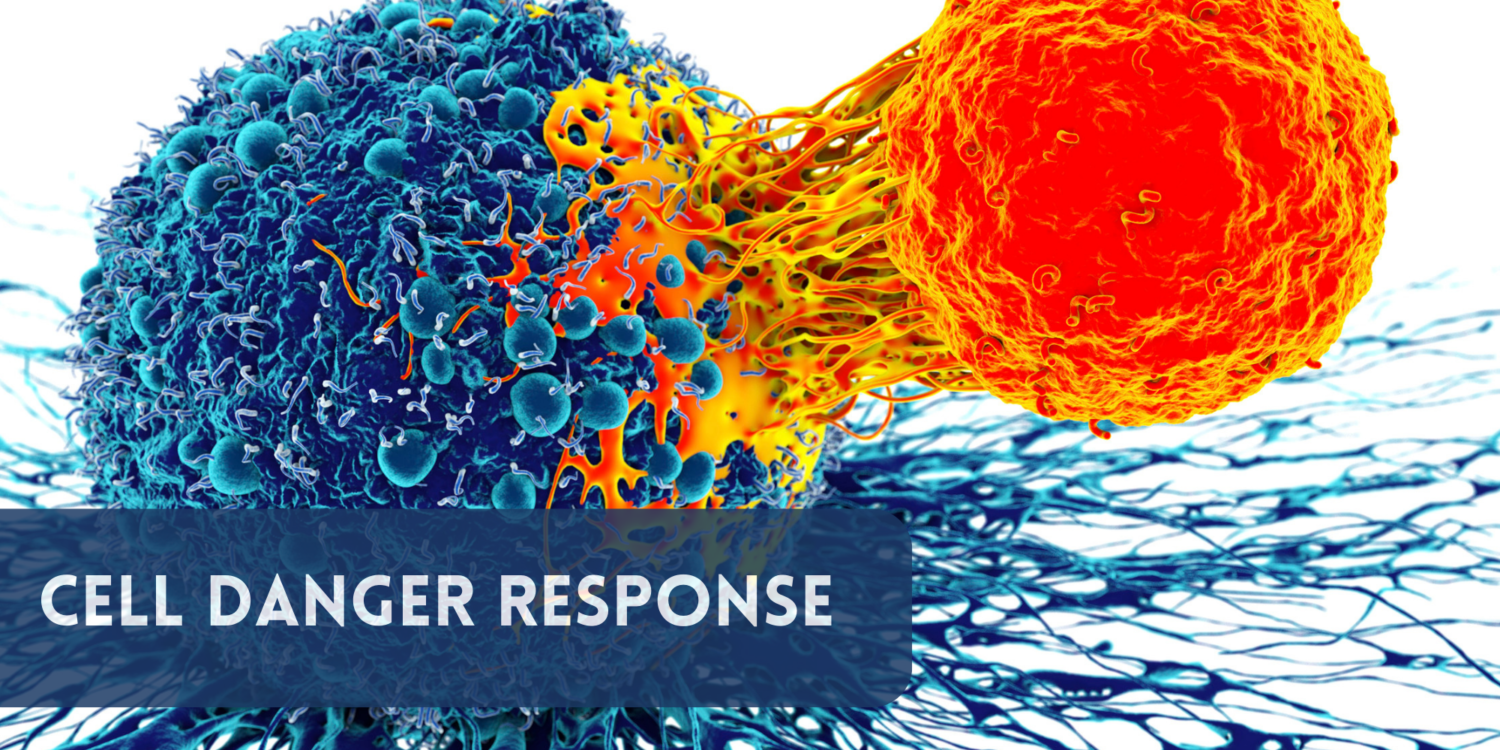 Cell danger response, allodynia, and central sensitivity pain syndrome ...